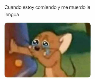 Origen y mejores memes del ratón Jerry llorando.
