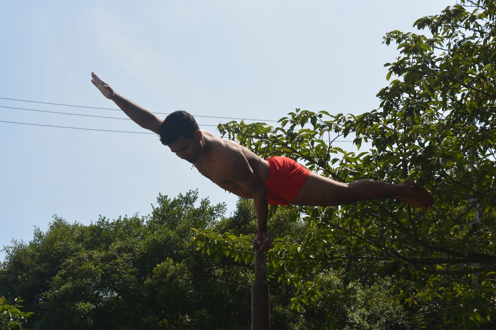 Incredible Mallakhamb: Asian Performing Art Marketing Setouchi Festival ...