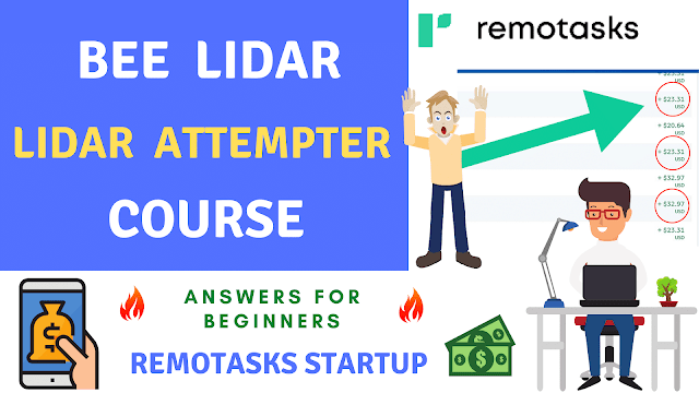 REMOTASKS ANSWERS | Bee LiDAR Attempter Course | EARN MONEY BY DOING ...