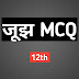 Jujh Class 12 Hindi MCQ | Jujh MCQ | Jujh MCQ Questions | जूझ Class 12 ...