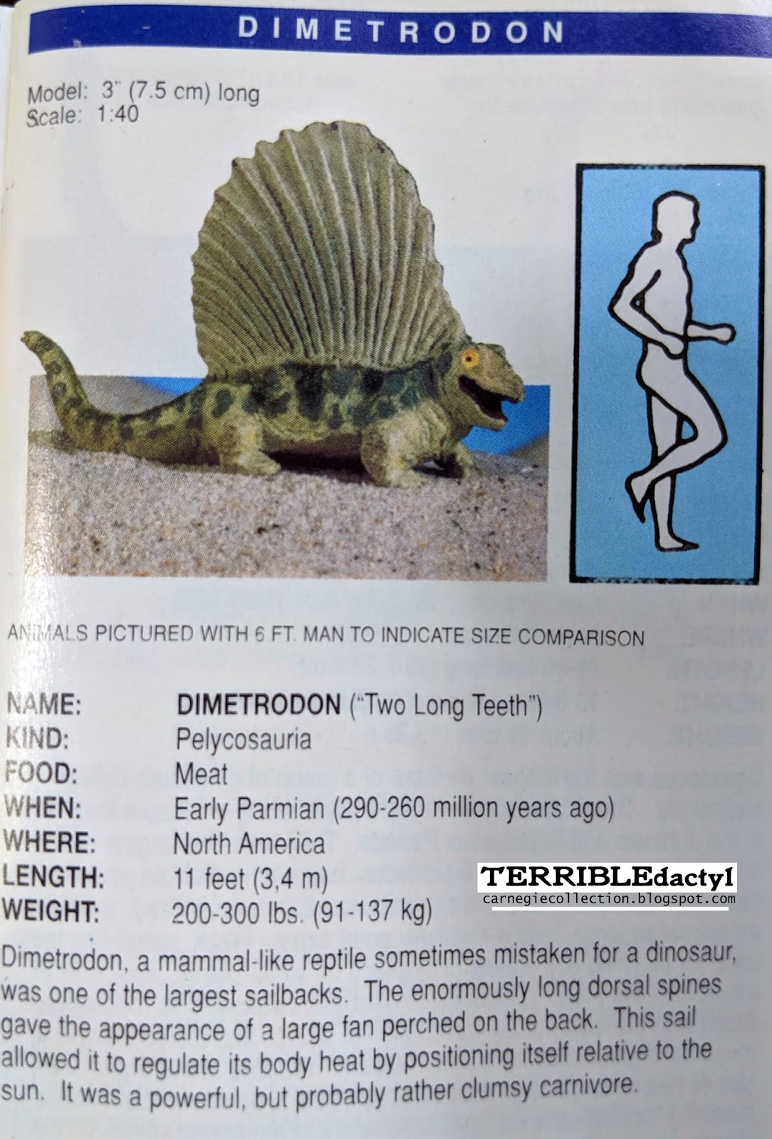 The Carnegie Collection Dimetrodon (1989)