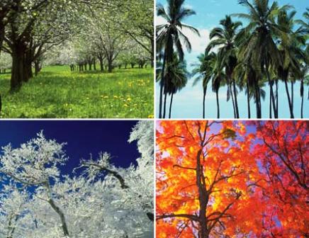 Dört Mevsim Türkiye, Türkiye'de İklim 6.Sınıf Sosyal Bilgiler Ders ...