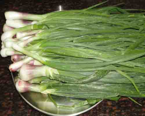 Spring onion paratha recipe - Vidya's Recipes