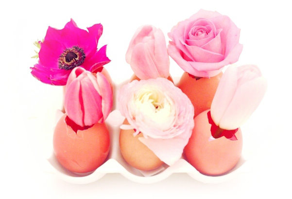 egg shell vase flower display
