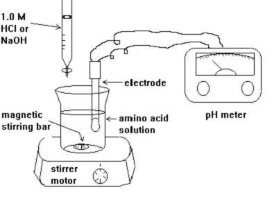 My Scientific Blog - Research and Articles: TITRATION CURVE OF AMINO ACIDS