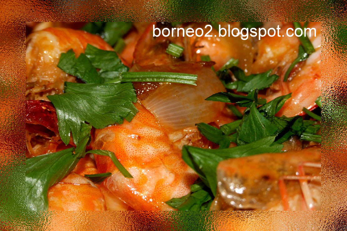 Borneo Island, Awaken To A Different World: Prawn - Indian White Prawn ...