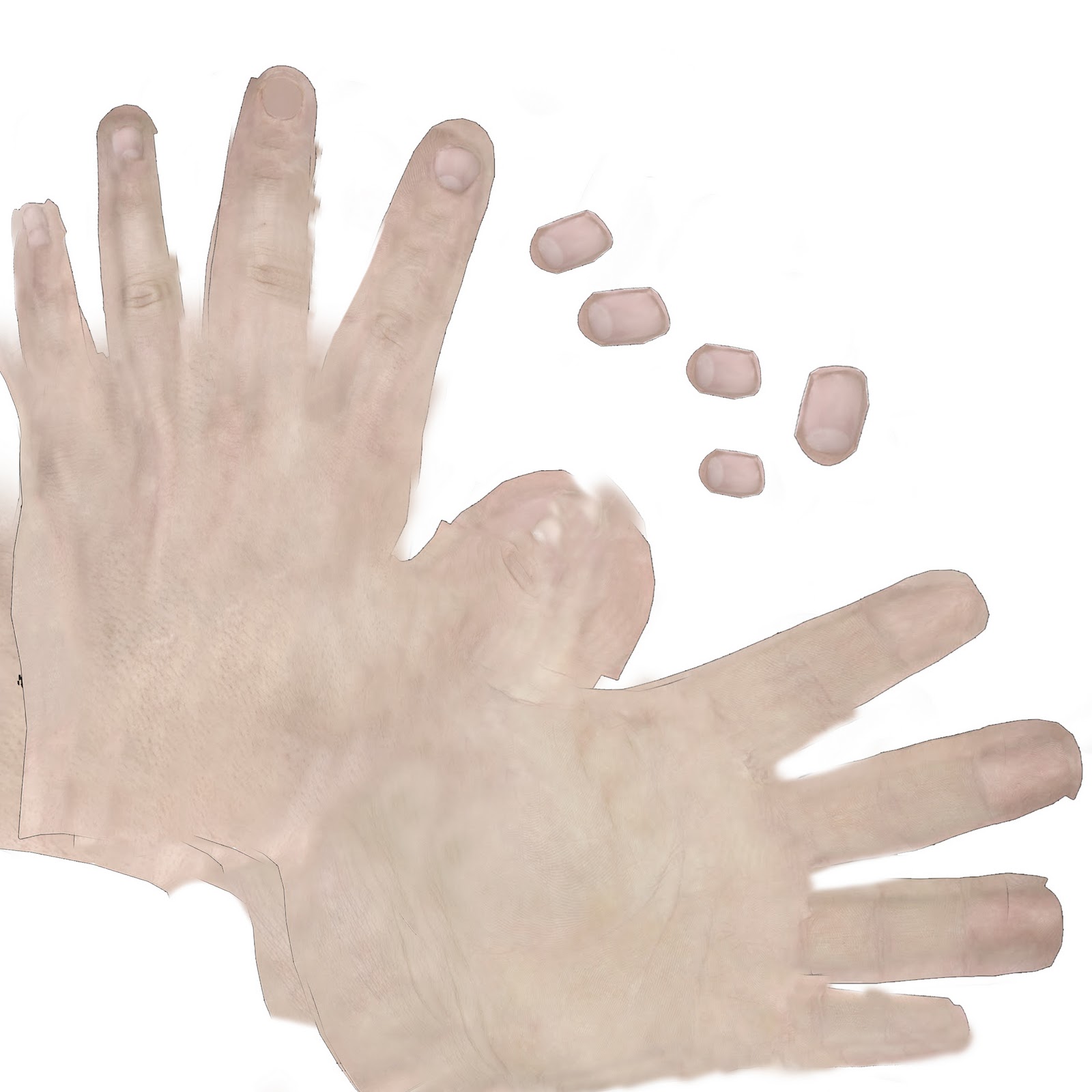 Jut's Blog: Maya - Realistic Hand Progress