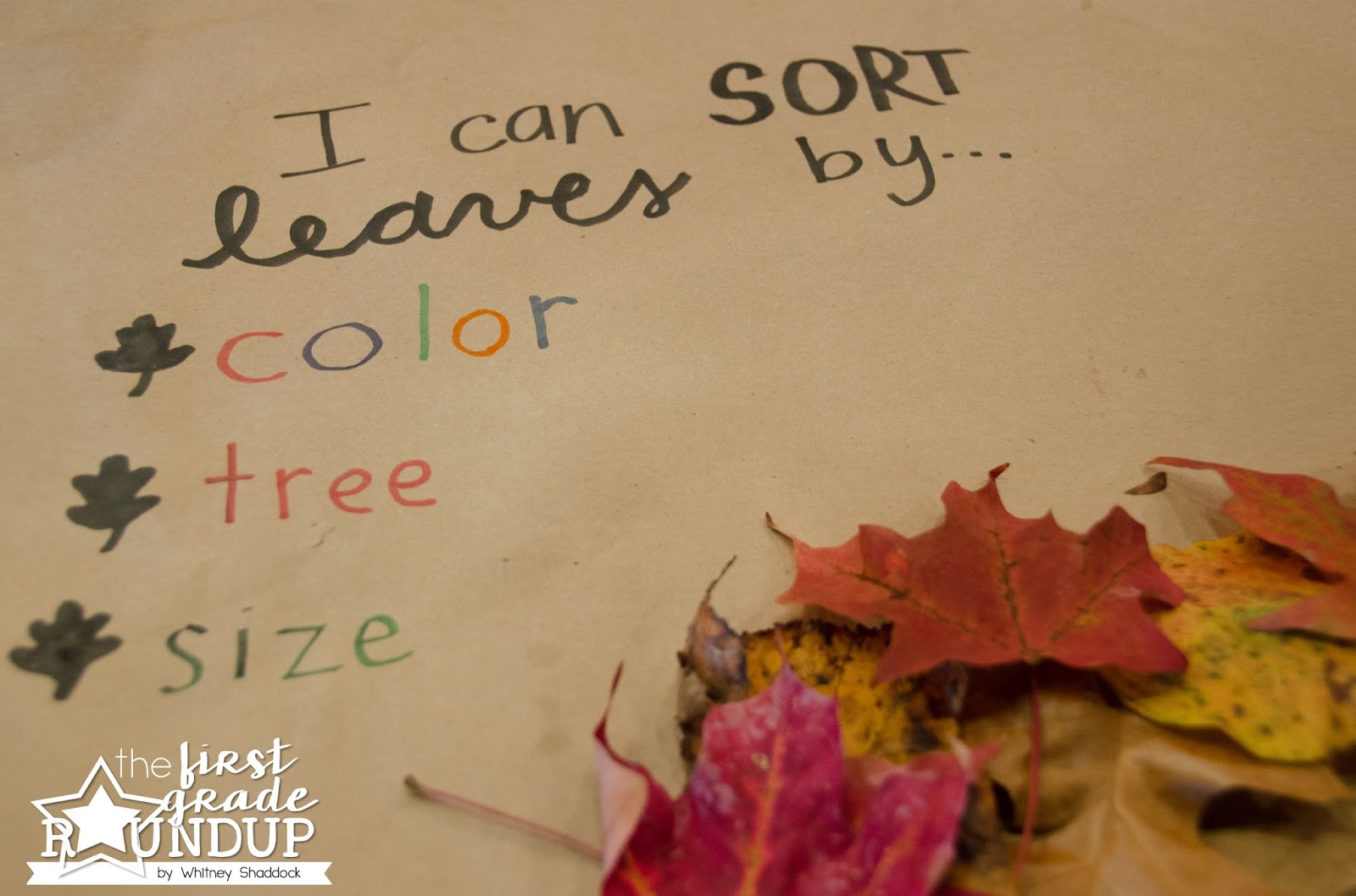 4 simple fall leaves preschool crafts & science activities - The First ...