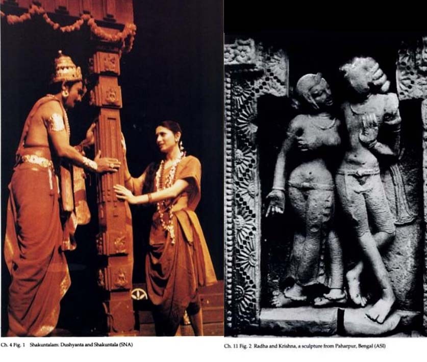 A short note on the Rasa Theory