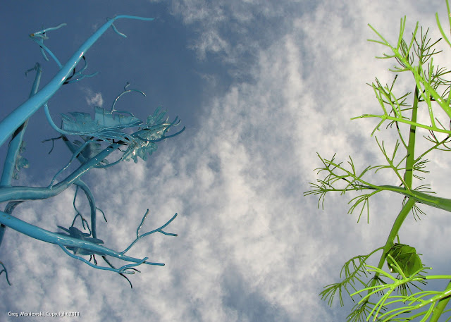 Looking around London: Overview: Metal Trees of the Carolinian Forest