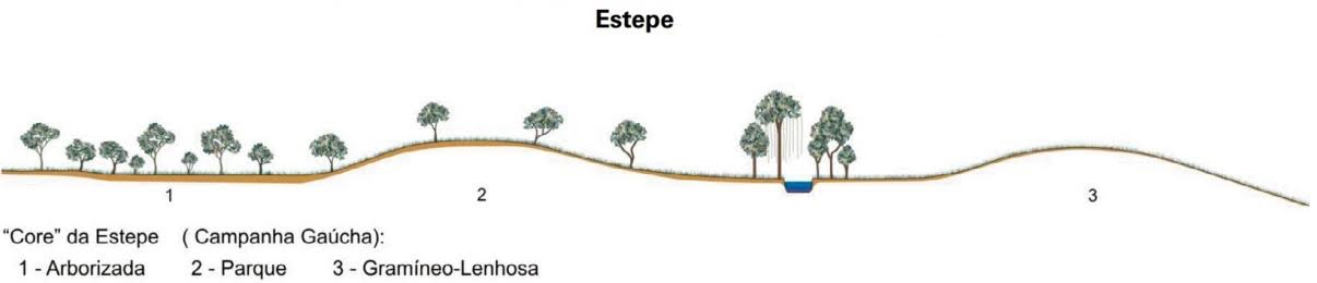 Onde as Plantas Crescem - Chernossolos