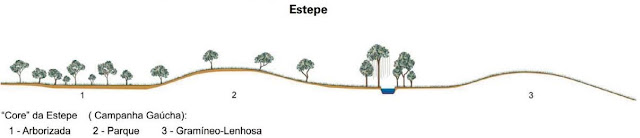 Onde as Plantas Crescem - Chernossolos