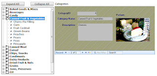 Microsoft TreeView Control Tutorial ~ LEARN MS-ACCESS TIPS AND TRICKS