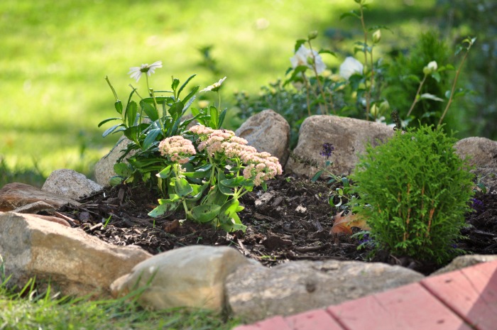 Our 4 Sons Plus 1...Super Cute Girly Girl: Best Homemade Rolls Recipe ...