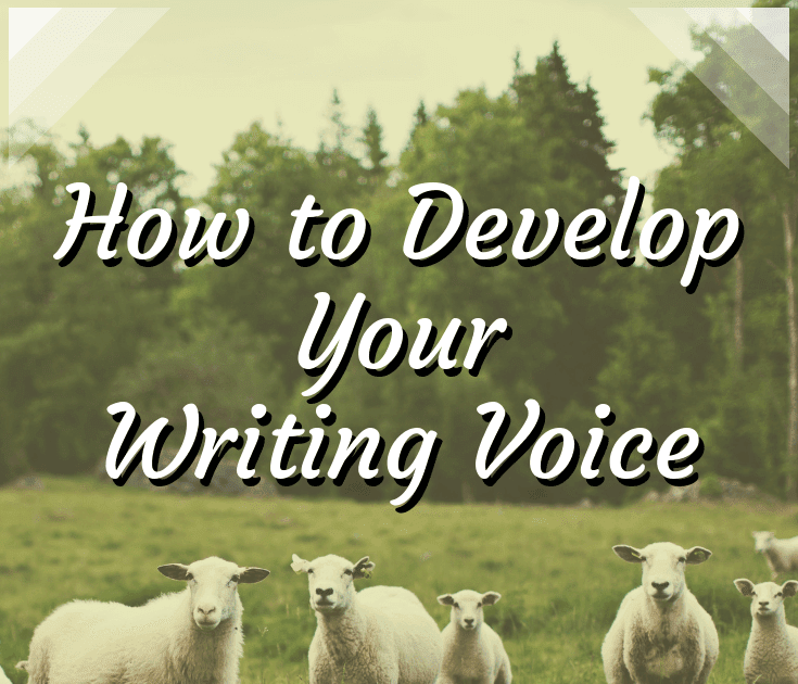 How to Develop Your Writing Voice | Something Delicious