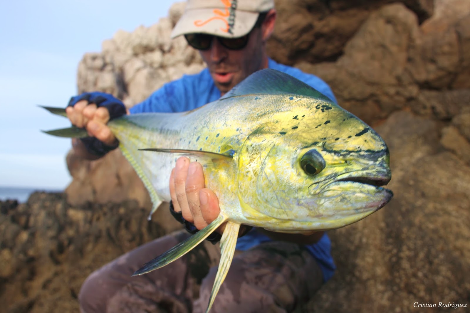 SPINNING, CAPTURA Y SUELTA: Llampugas a spinning en un metro de agua ...