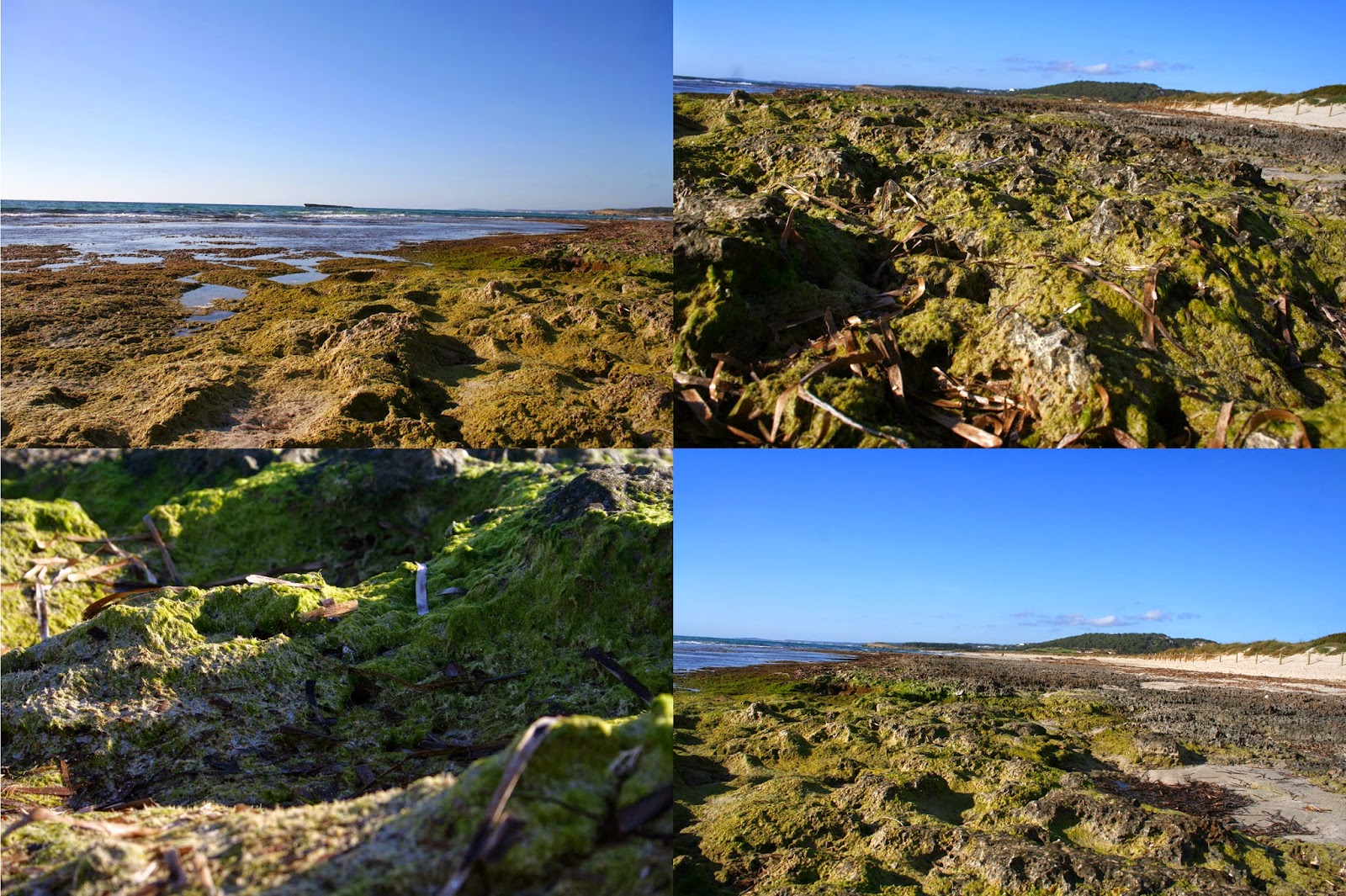 Si seguís unos 1,5 km más, llegaréis a una pequeña playa llamada Atalis ...