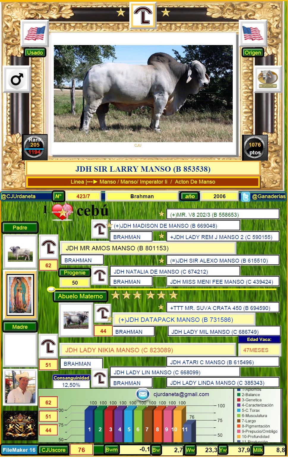 CEBÚ ♥ ♥ ♥ ZEBÚ♔♕♖♗♘ LA PASIÓN POR EL #CEBÚ #ZEBU: JDH SIR LARRY MANSO ...