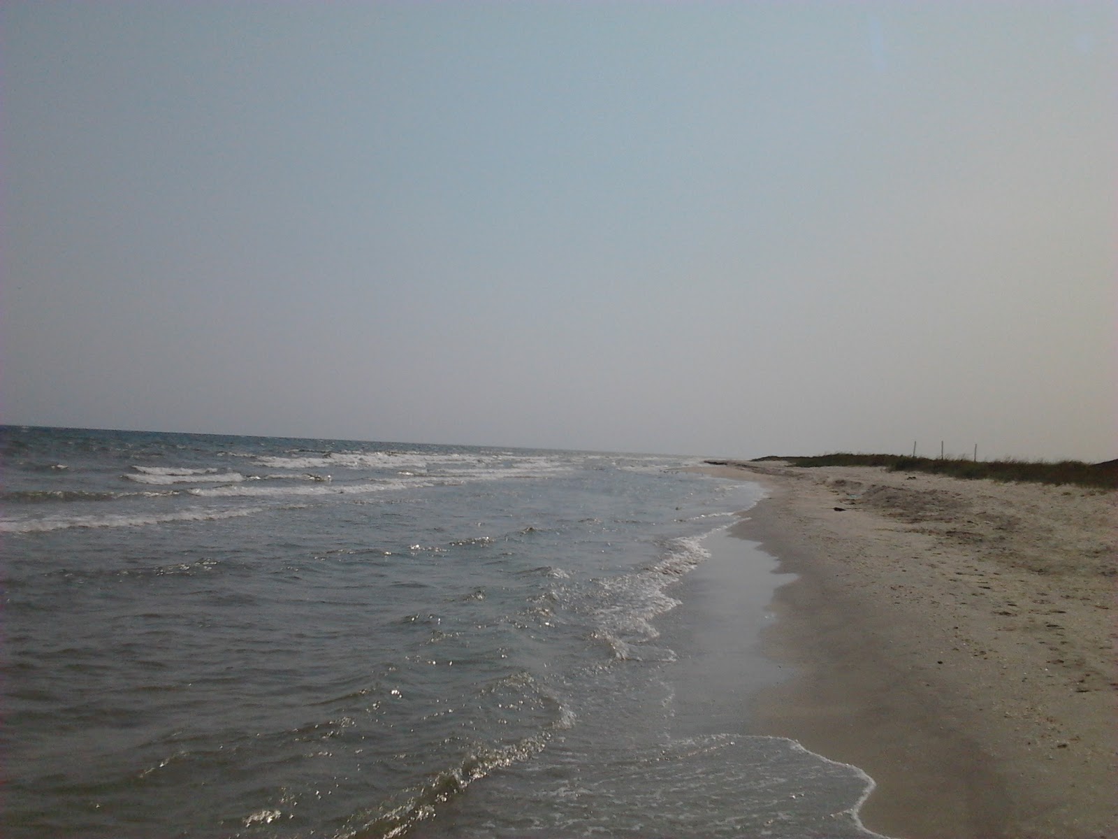 Grindul Chituc - wild wetland