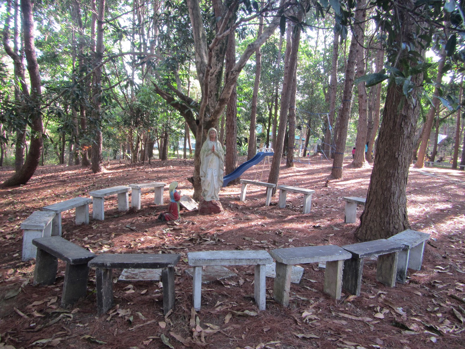 LEXICAL CROWN: EPIC PARC RAINFOREST CAMP (TANAY, RIZAL)