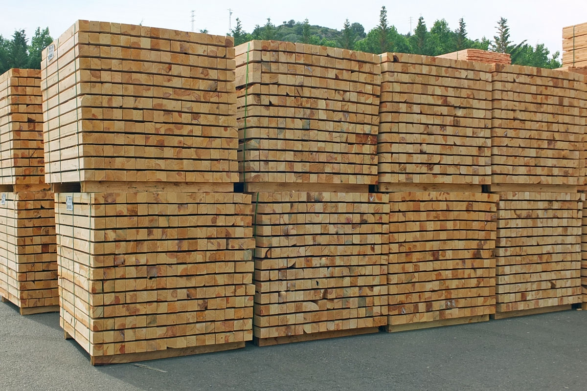 La Fusta Queens: Preserving Tradition and Captivating Visitors ...