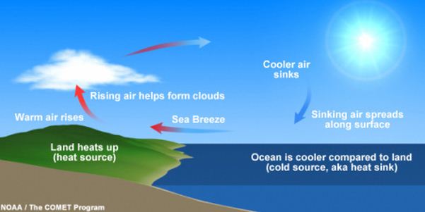 13 Jenis Angin - Geograpik