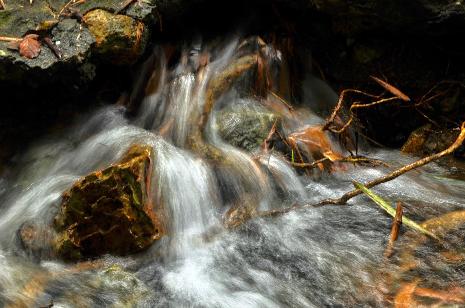 LOGSAC: My experience at Mangima Canyon Spring and Country Resort, Bukidnon