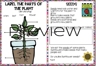 1st Grade Hip Hip Hooray!: Plants..."Growing" our knowledge of plants!