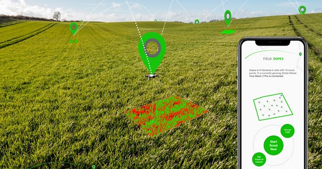 Crop Scouting: Definition, Using Apps and Drones for Crop Scouting ...