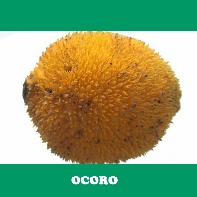 Santa Cruz: Fruta Ocoro