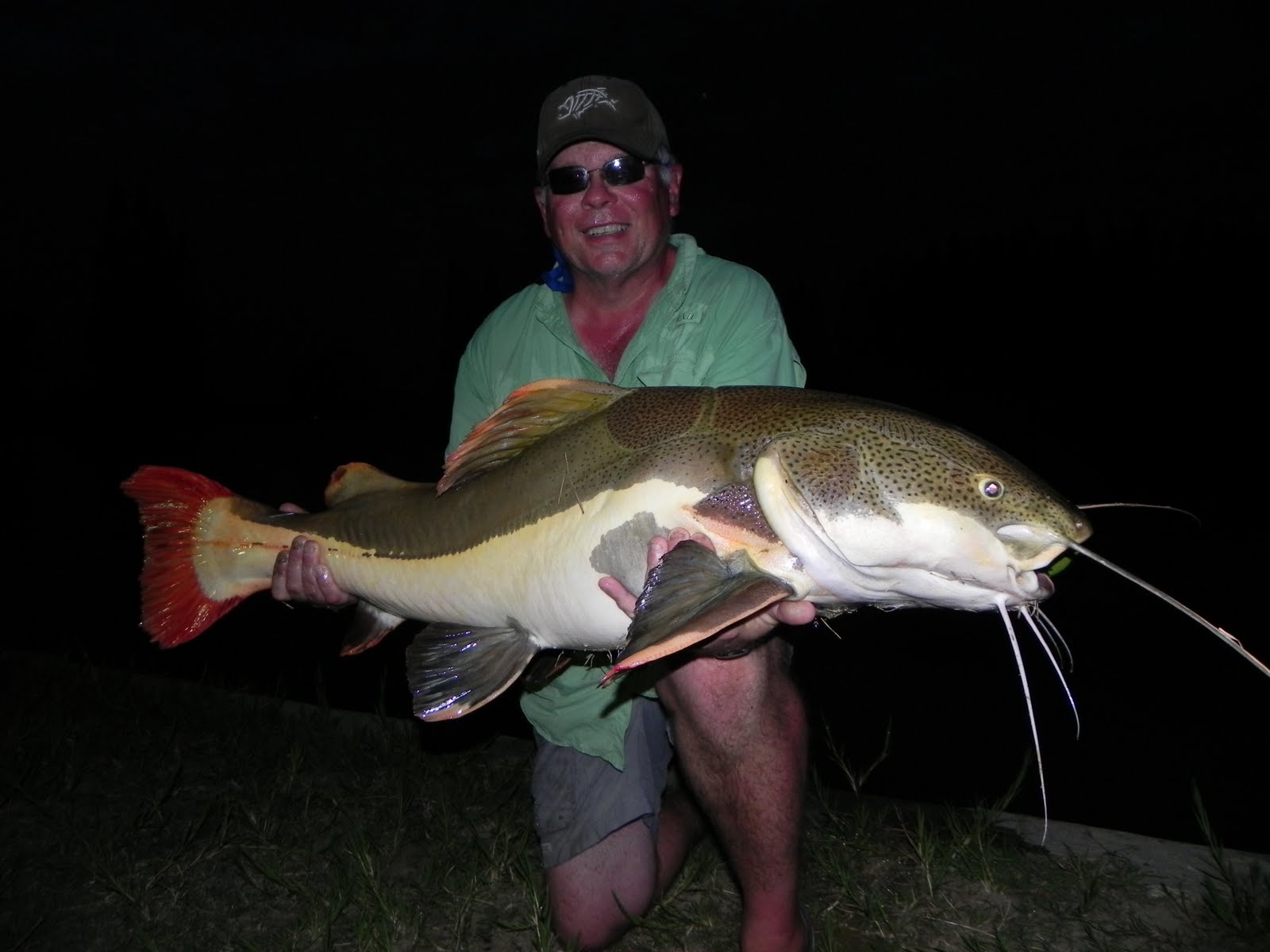 THE FISHING NEWS: IT LAKE MONSTERS