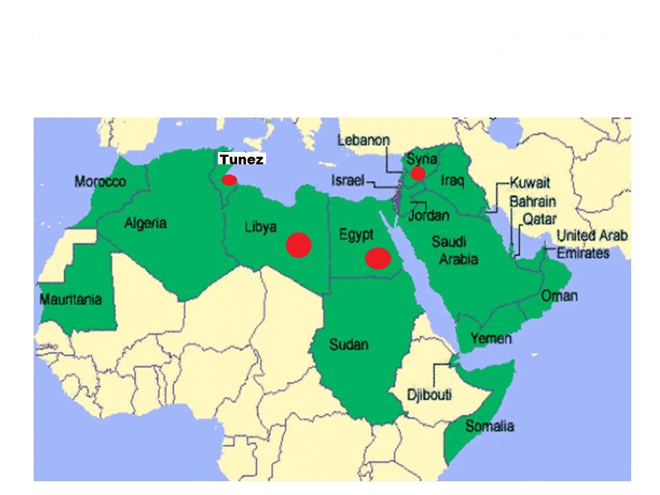 Primavera Arabe: A QUE SE LE DENOMINA PRIMAVERA ARABE