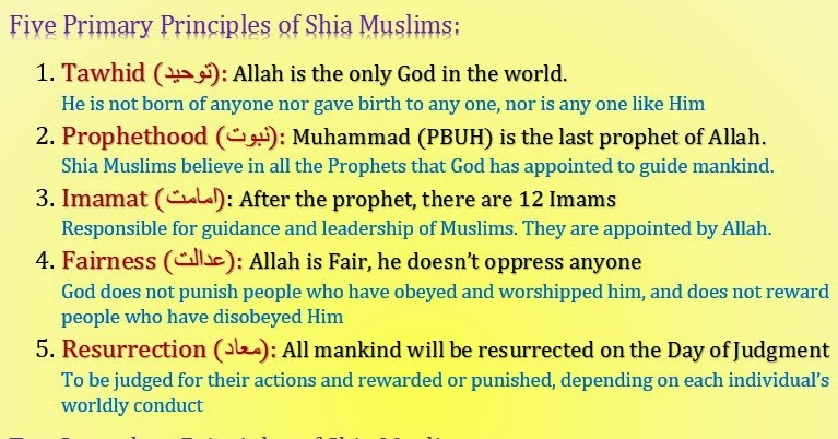 Shia Muslim: Shia Beliefs