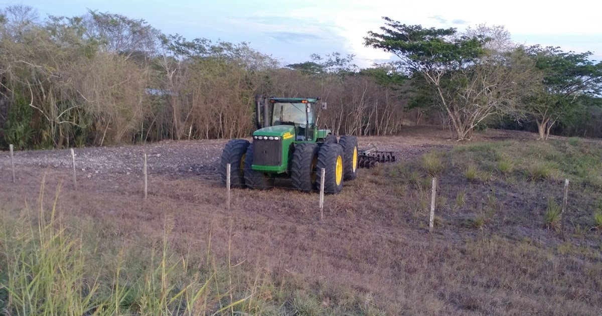 Understanding Spanish Lookout