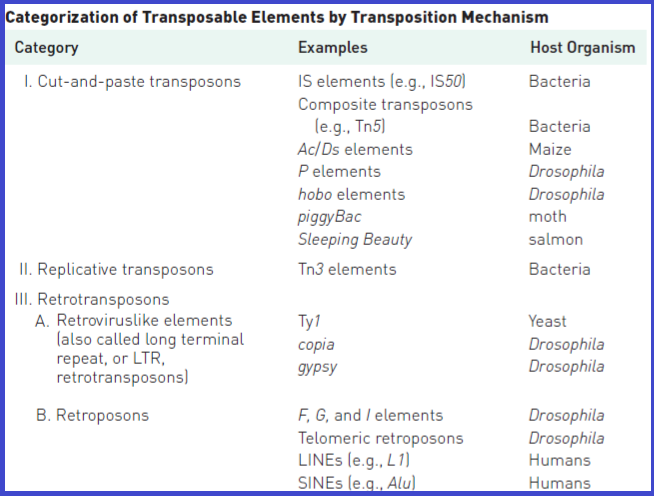 Transposable Element | an Over view and Classification of TE based on ...