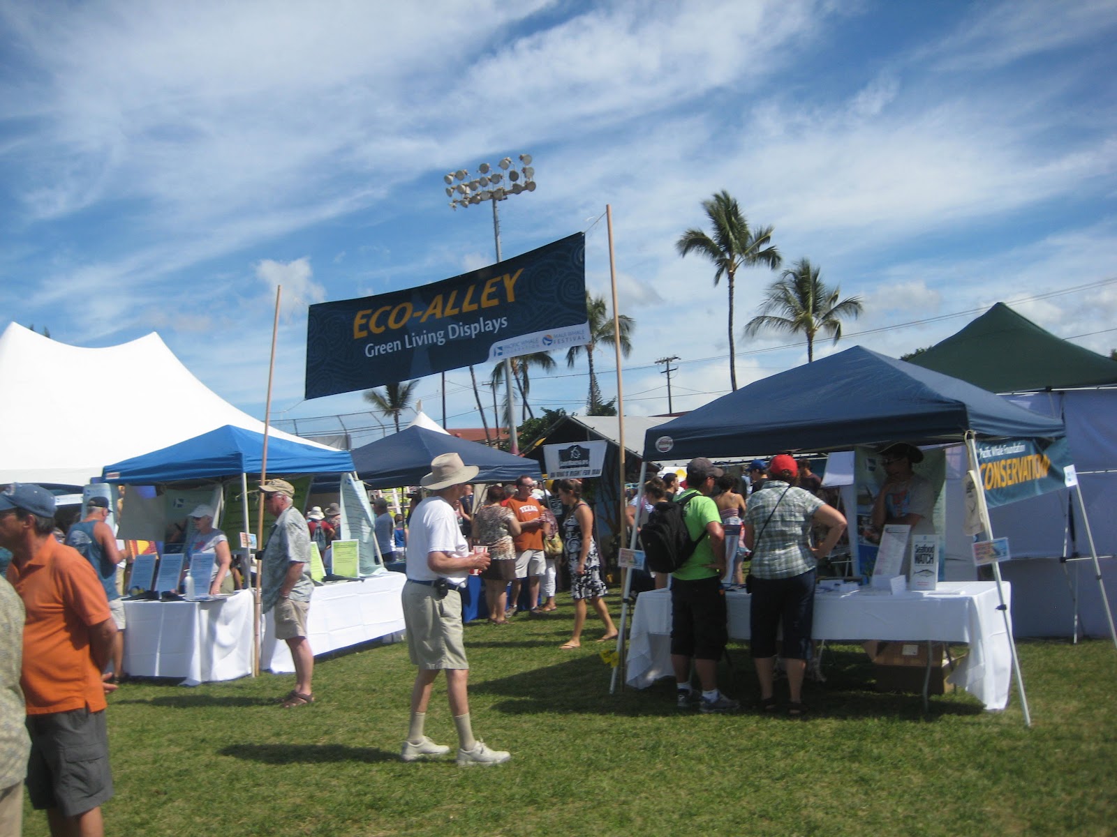 Maui Vacation Guide: World Whale Day in Kalama Park Kihei Maui