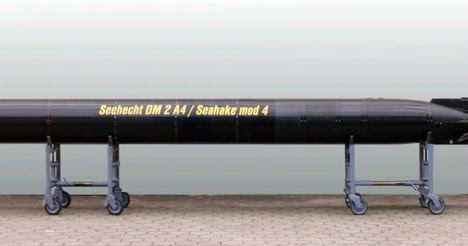 Оружие массового поражения: 533-мм торпеда DM2A4