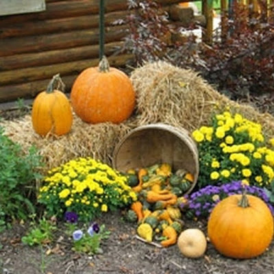 42 Fantastic Fall Garden Design | ARA HOME