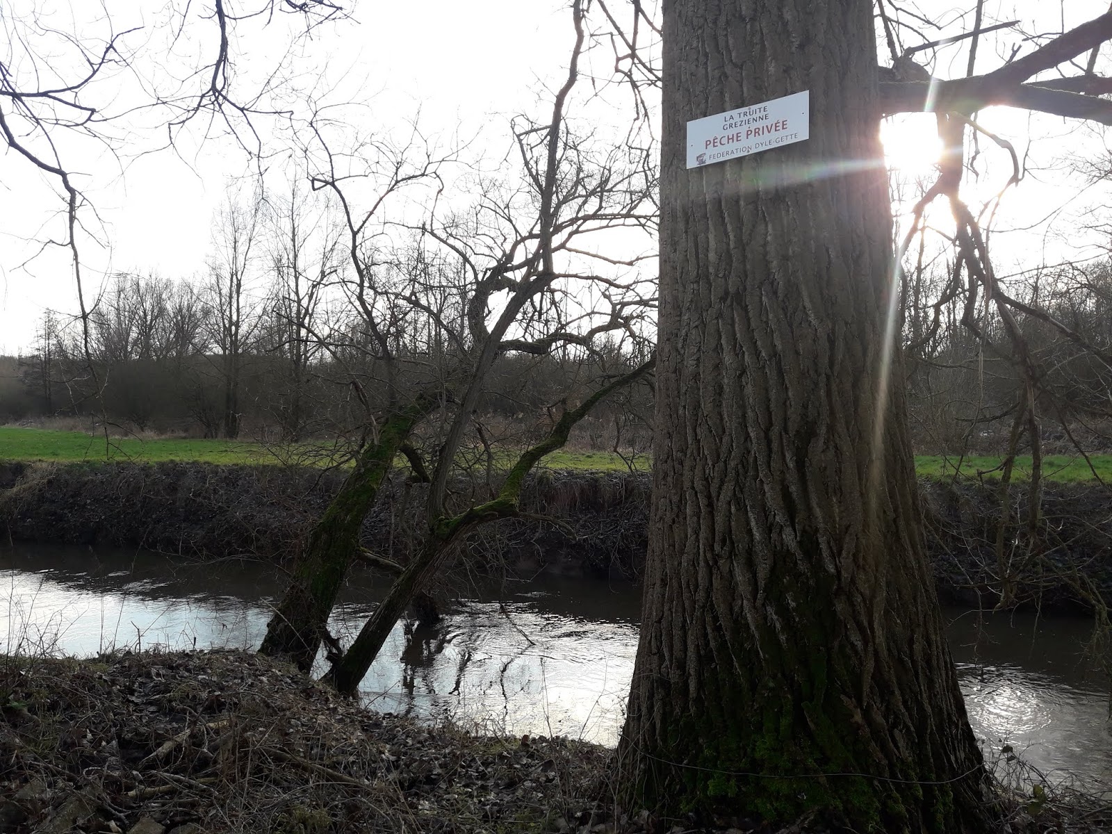 la truite grézienne: Photos parcours de la Dyle