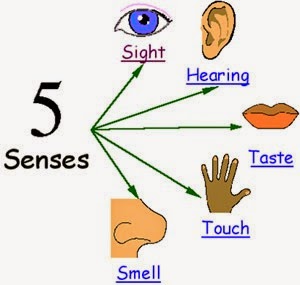 Espacio de la práctica I: V.A.K.O.G.