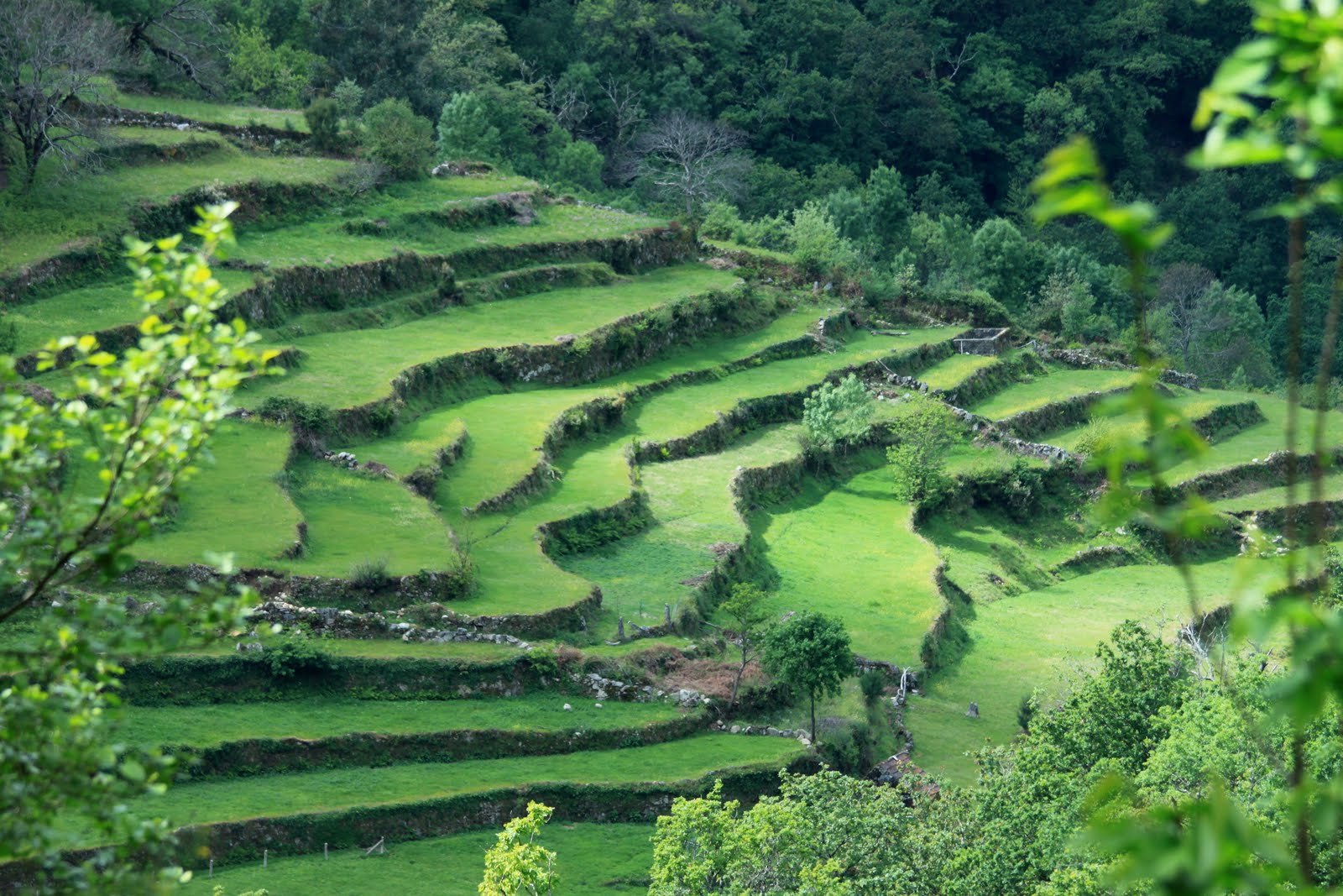 Como Calcular O Declive De Uma Reta Com Dois Pontos - Catalog Library