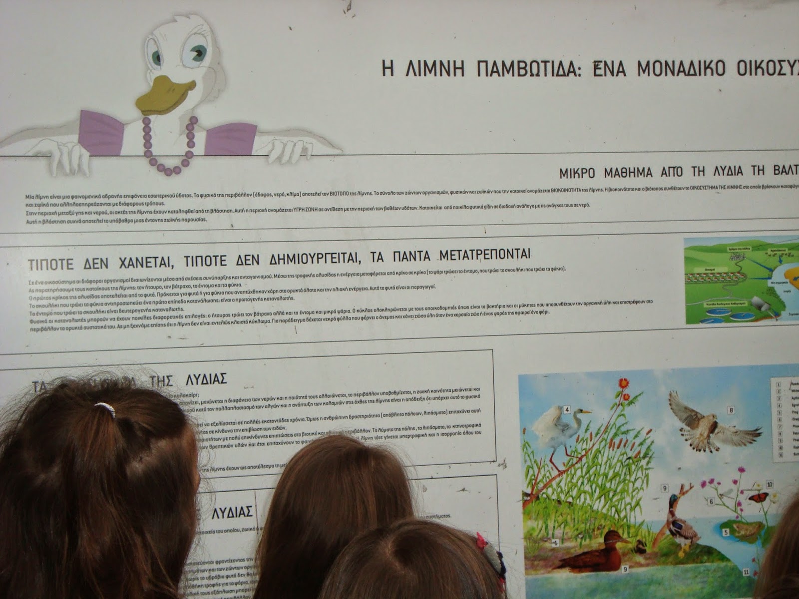 7ο ΝΗΠΙΑΓΩΓΕΙΟ ΙΩΑΝΝΙΝΩΝ -ΤΑ ΝΗΠΙΑ ΤΑΞΙΔΕΥΟΥΝ....: ΗΜΕΡΑ ΒΙΟΠΟΙΚΙΛΟΤΗΤΑΣ...
