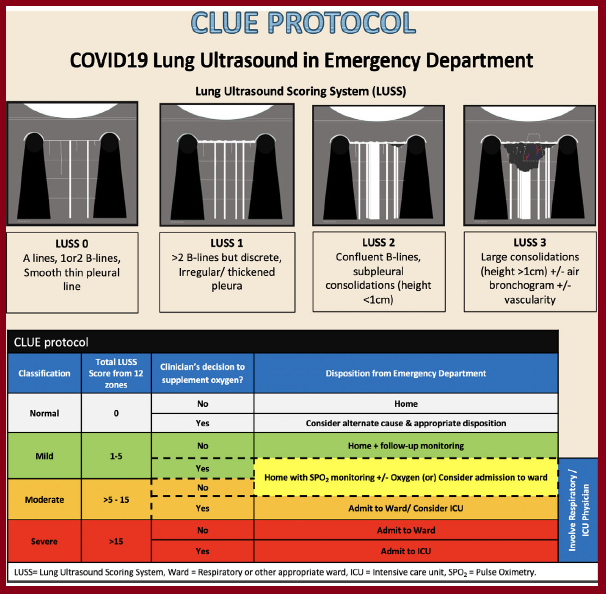 MEDICINA INTENSIVA CUSTOMIZADA