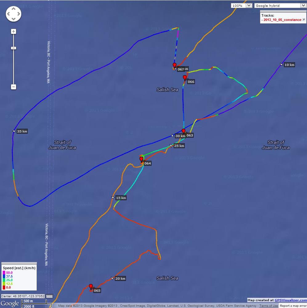 The Adventures of Natural C-lection: October 5th - Constance Bank (#24)