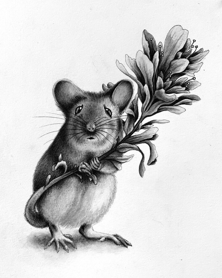 Field Mouse Drawing