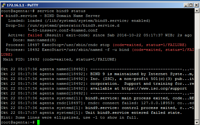Cara Mengatasi Error DNS Server Bind Linux Debian - Zona NgeBlog