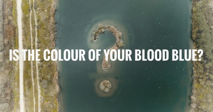 IS THE COLOR OF YOUR BLOOD BLUE WHEN DE-OXYGENATED? - AMAZING YET ...