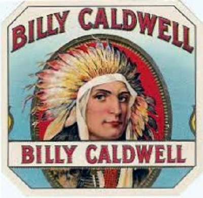 The Digital Research Library of Illinois History Journal™ : The Life ...