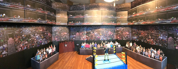 J\/\/s Wrestling Memorabilia: An Extreme Backdrop For Your Wrestling Fun