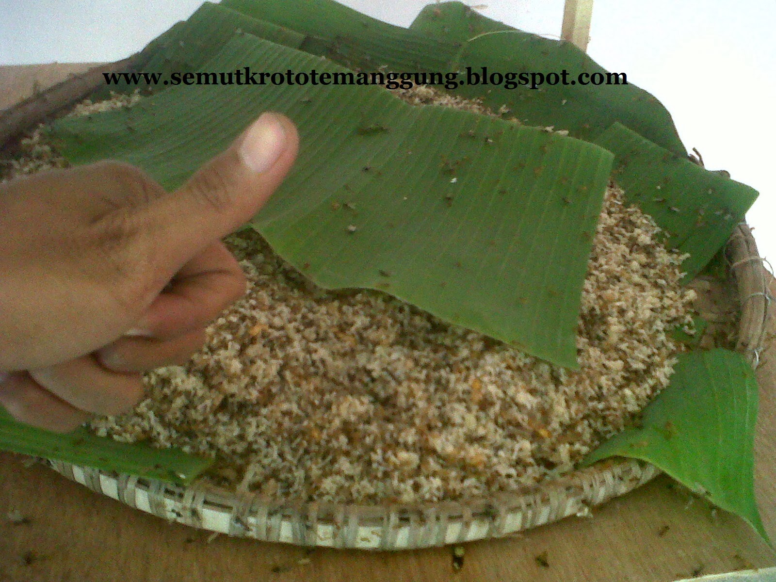 3 Harga Kroto menurut Kualitas | SEMUT KROTO TEMANGGUNG